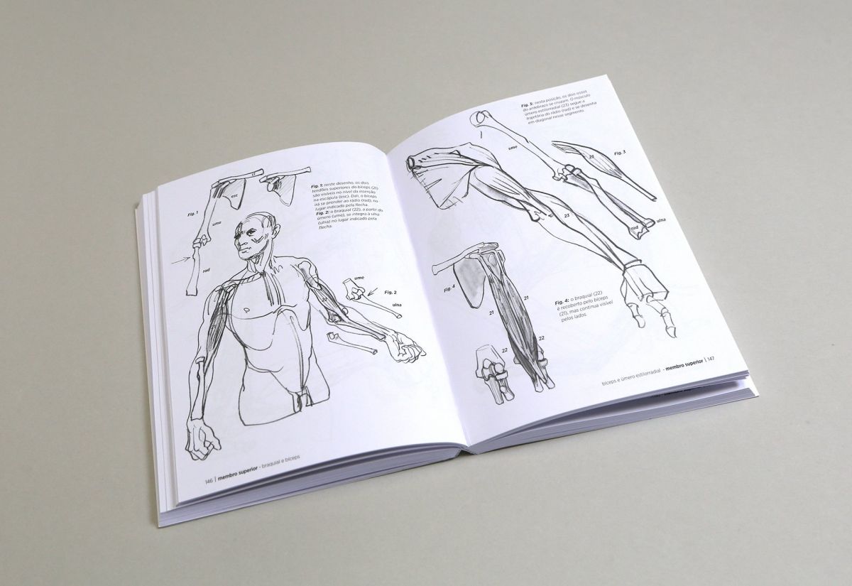 Editora Crás - Anatomia Artística Vol. 1 | Michel Lauricella